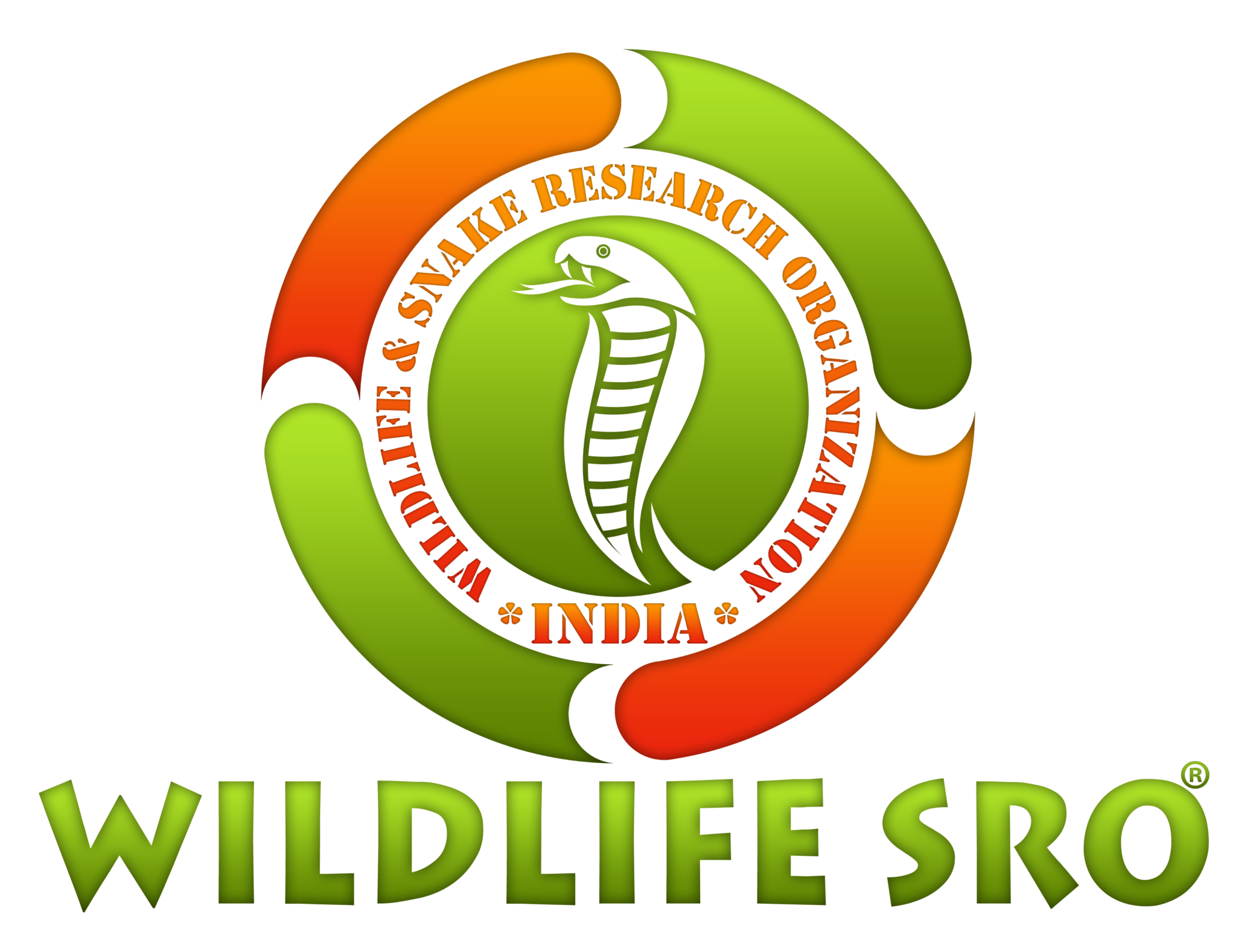 COMMON KRAIT - Snake Rescue Team